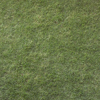 SketchUp Texture Free Download - All About SketchUp