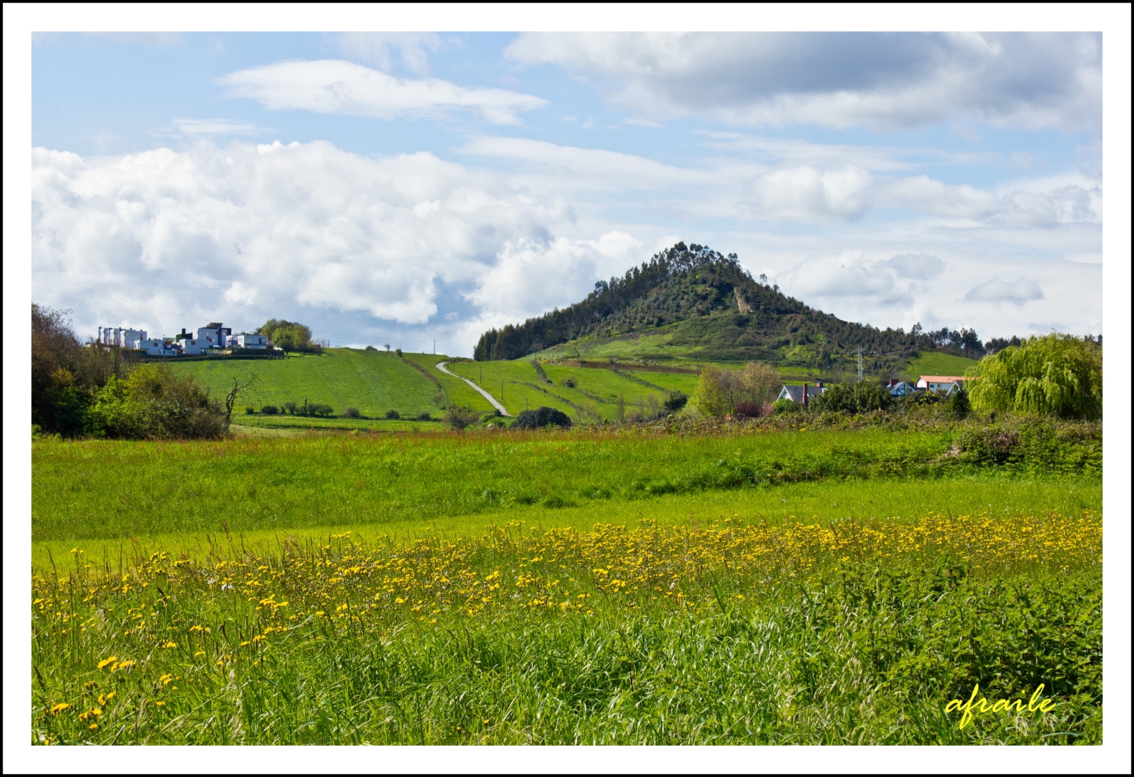 Foto afraile: MORTERA (Piélagos).