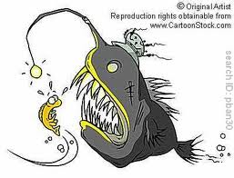 Jendela Hewan: IKAN ANGLER FISH