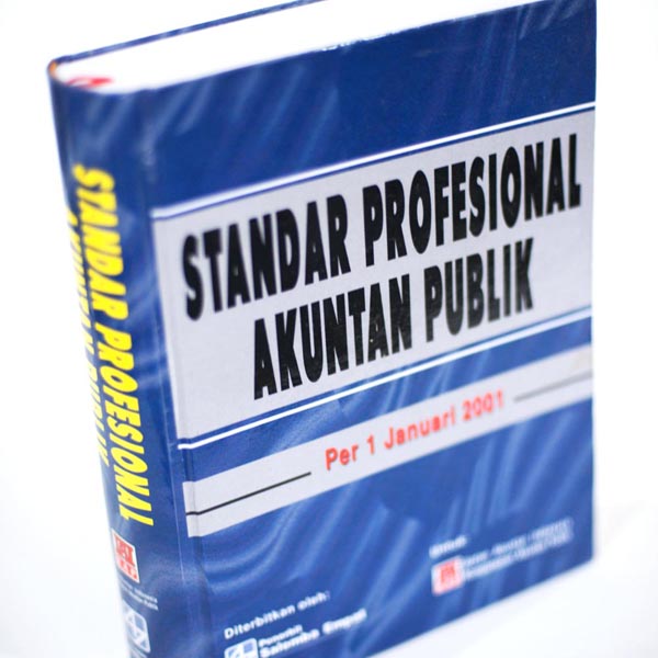 THE PROFESSIONAL AUDITOR