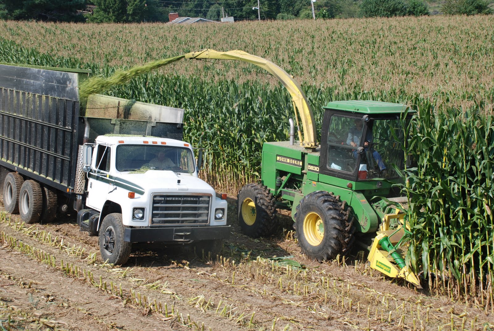 2011 Corn Silage Summary: Croplan 8221 harvested on Sept 1