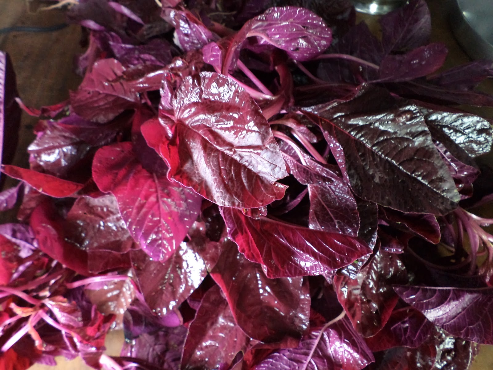 Mouthwatering Food Recipes: 172) CHEERA TORAN