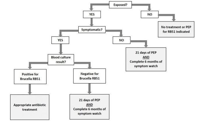 Avian Flu Diary: CDC HAN: Rifampin/Penicillin-Resistant Strain of RB51 ...