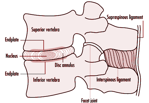 Spine Info: Listhesis