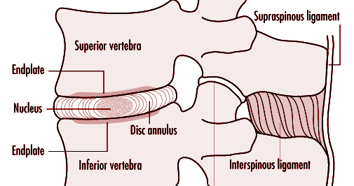 Spine Info: Listhesis