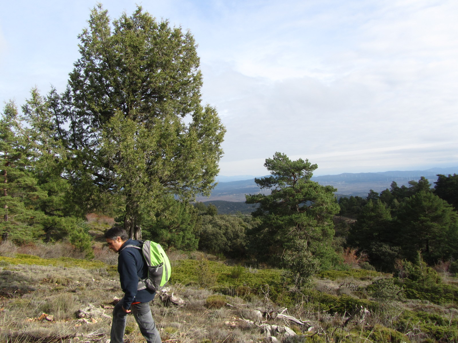 Senderismo Junior: Sierra del Toro, Pico Baile