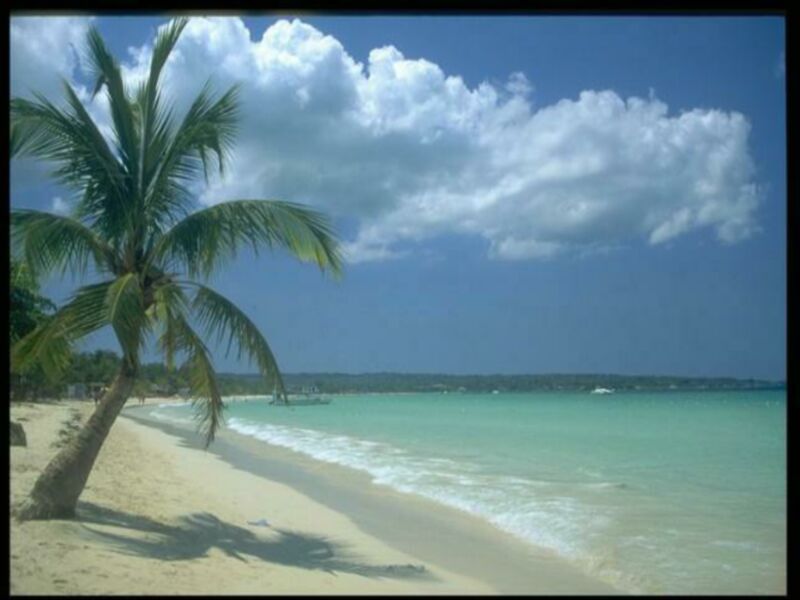 Senari Wallpaper ~ Entertainment Spy