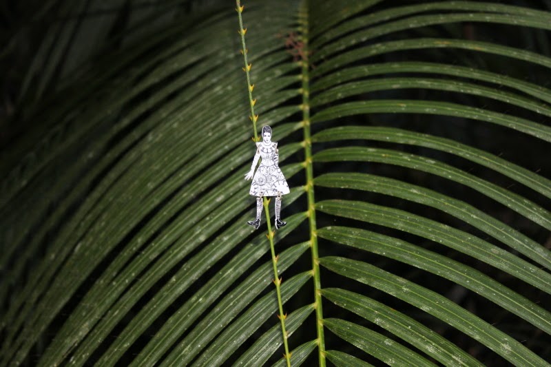 ANNETTE IN OZ: Julatten in Far North Queensland, Australia-long post ...