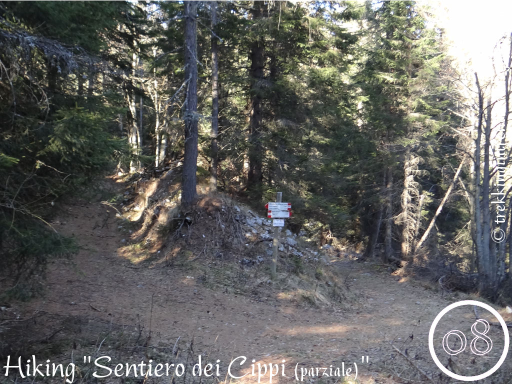 Trekking in Trentino: Sentiero dei Cippi