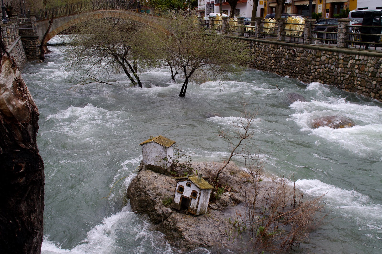 Las fotos de mis viajes: Paseando por la margen derecha del rio Genil ...