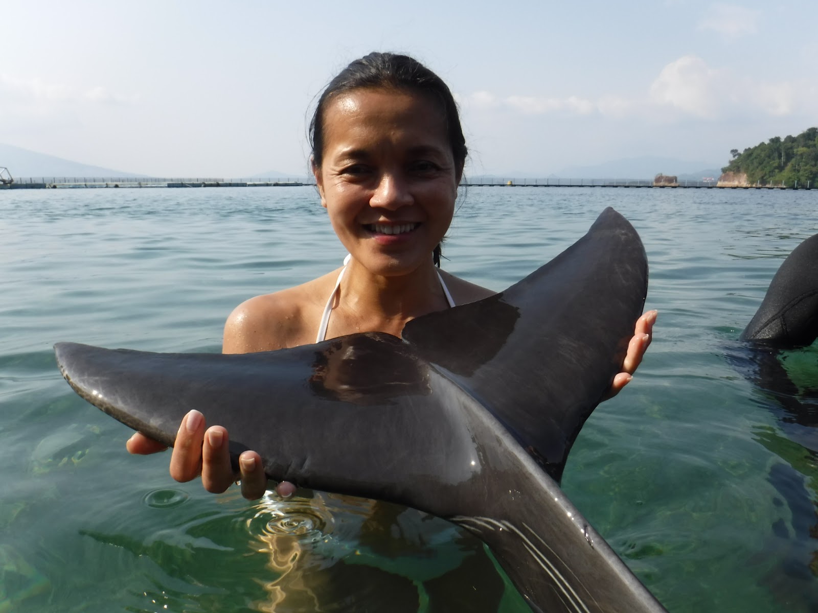 TRAVEL DIARY: Fun Things To Do in the Philippines - Swim with the ...