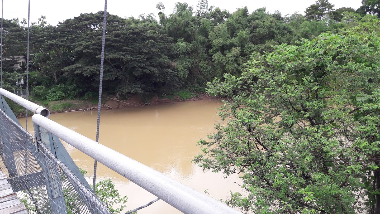 Ceritera FLK: Jambatan Gantung Tamparuli / Tamparuli Suspension Bridge