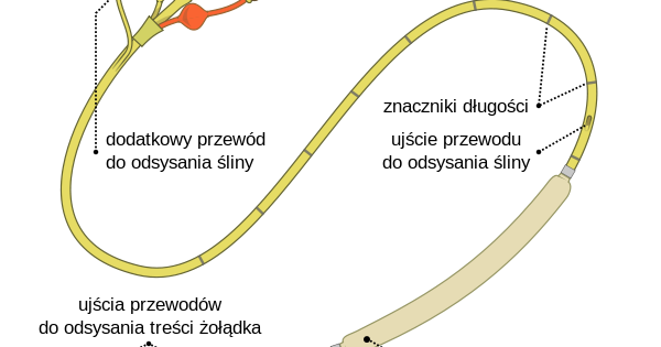 Apakah Sengstaken Blakenmore Tube lebih efektif untuk GI Bleeding ...