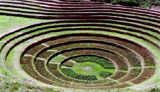 Uniknya Lahan Pertanian Peninggalan Suku Inca - DUNIA KITA