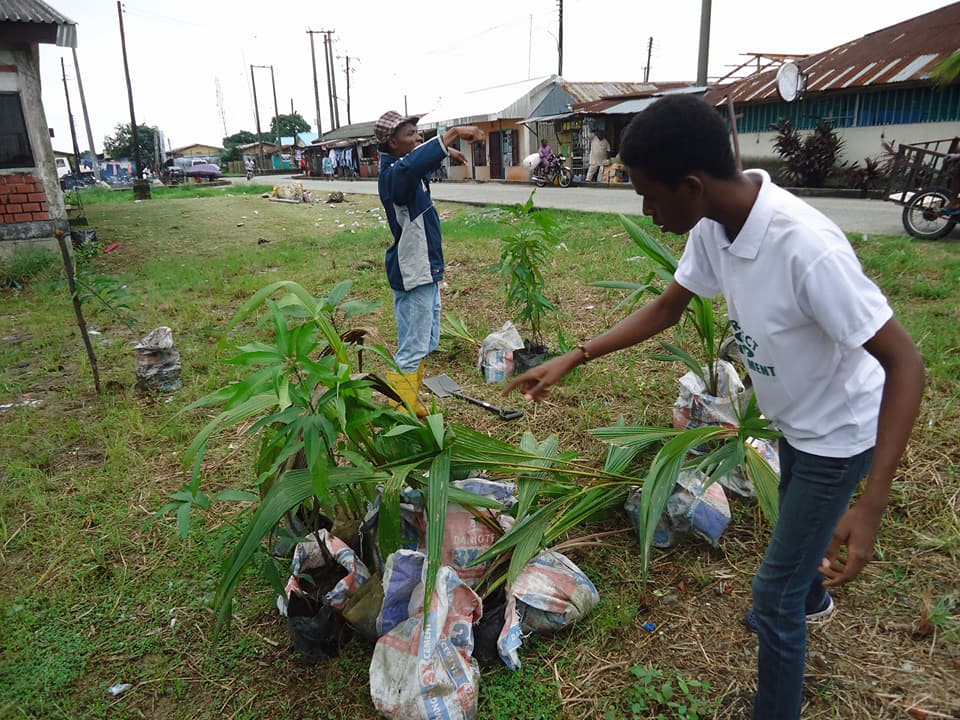 Eco club tree planting exercise in finima market road bonny island ...