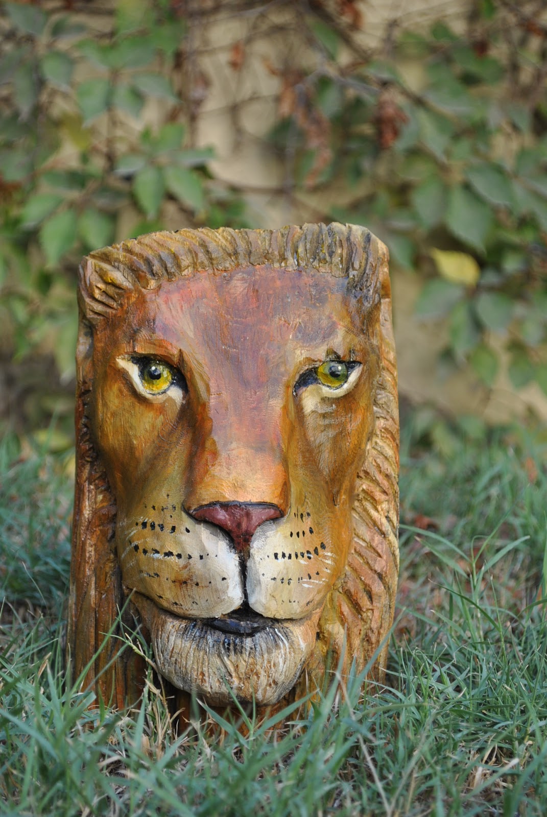 Que es lo que hay dentro de un árbol? : El leoncillo peinao