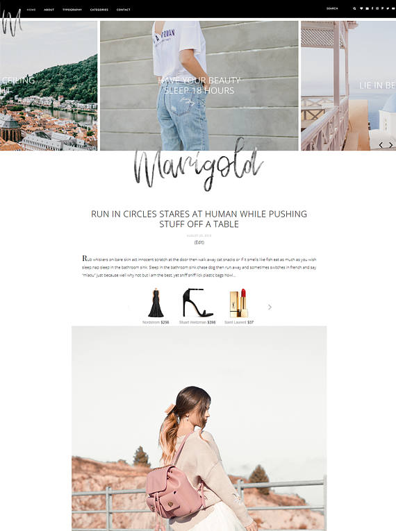Beautiful Blog Templates and Logos for under $25 - The Wicker House