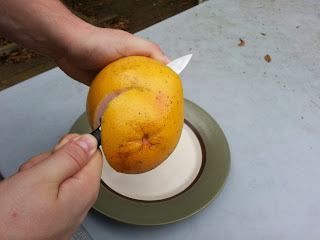 How to Section Grapefruit Like an Expert