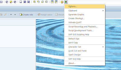 An SAP Consultant: Clear SAP GUI Input history