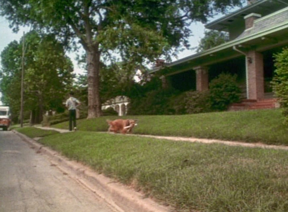 Benji Film Locations