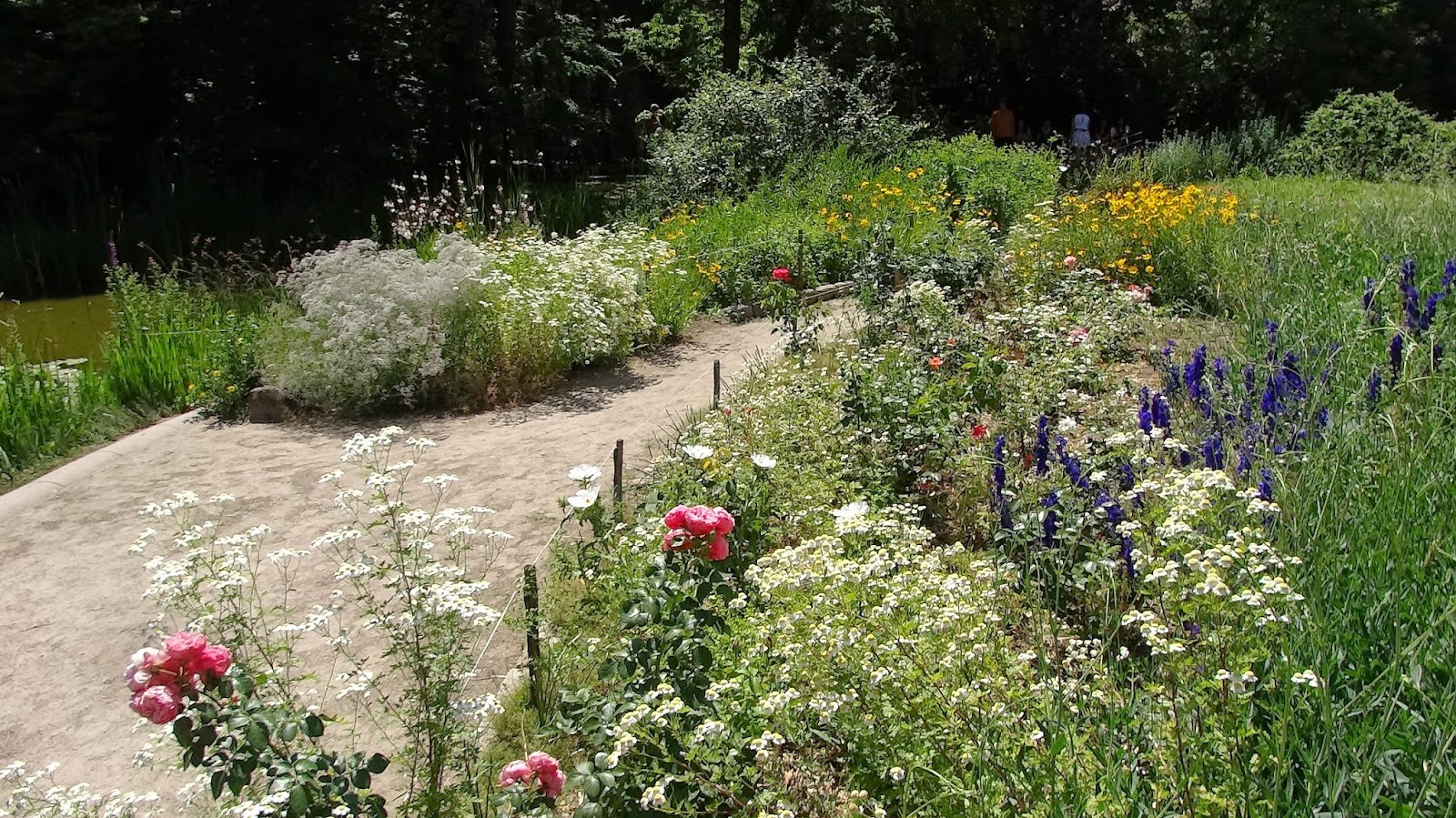 Jacques Huber and the Amazonian Botany