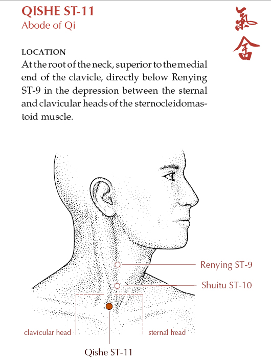 Acupuncture Masters: Acupuncture Points Database - Stomach channel