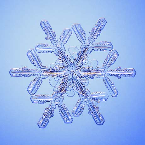 Treasures Found :: Inspiration is Everywhere: Every Snowflake is Unique