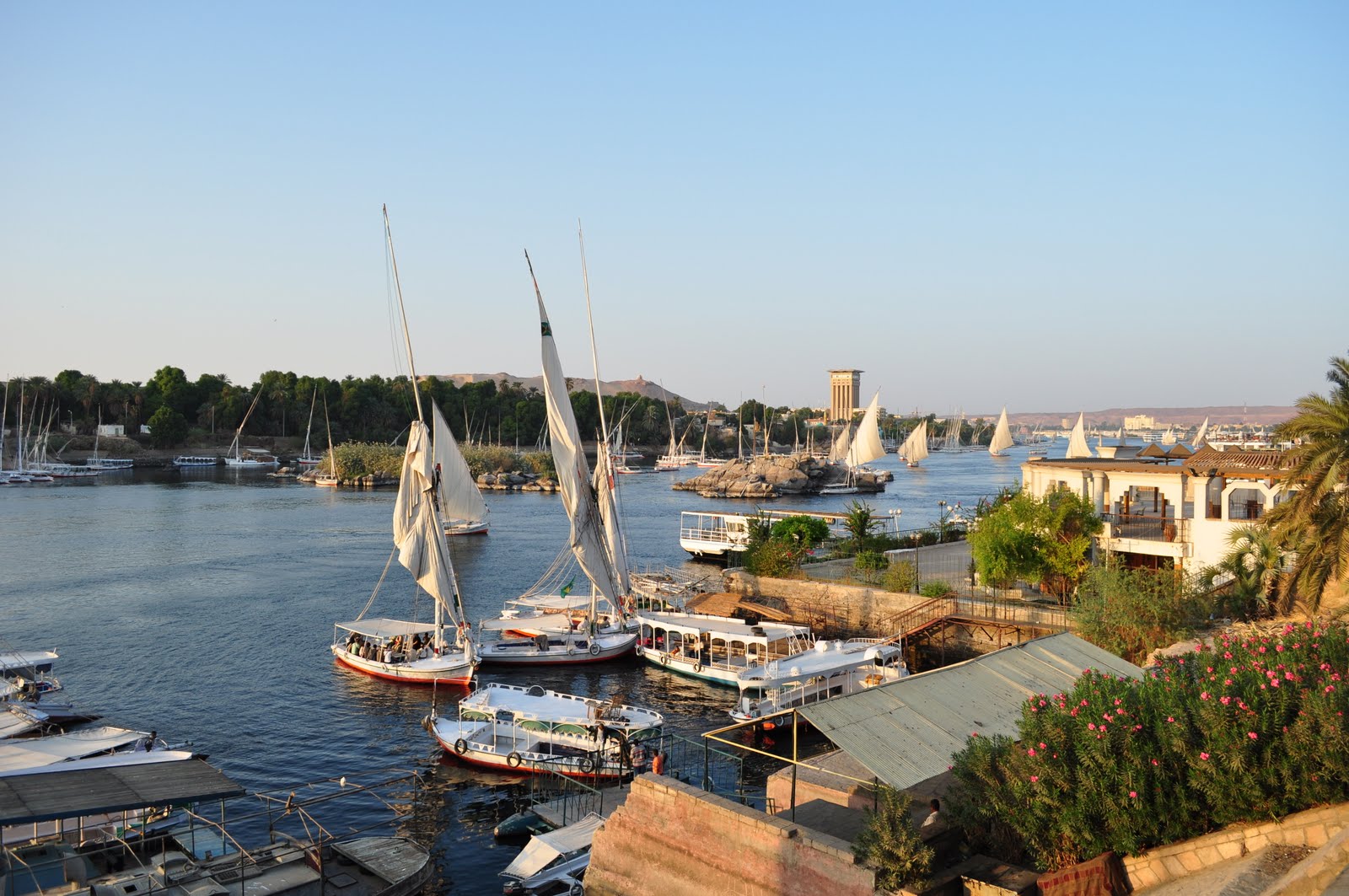 Travel Scars: Felucca? Felucca you!