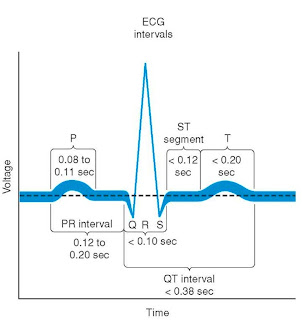 Ritmo Cardíaco - As Doenças Cardíacas