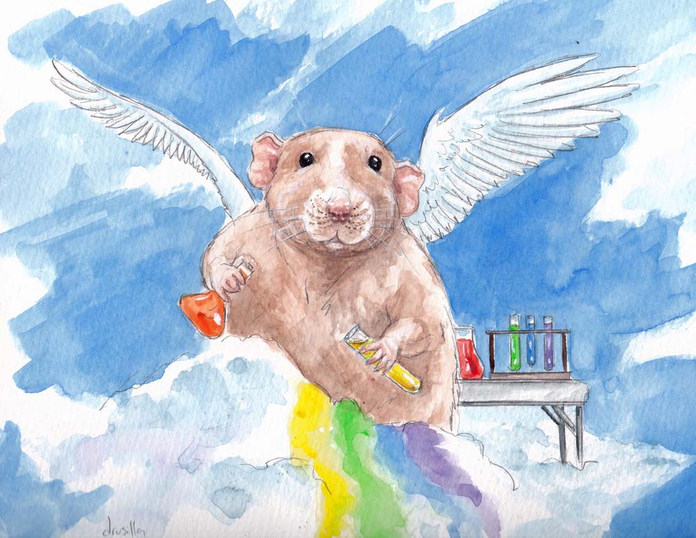 The Art of The Illustrated Rat: Angel Milo