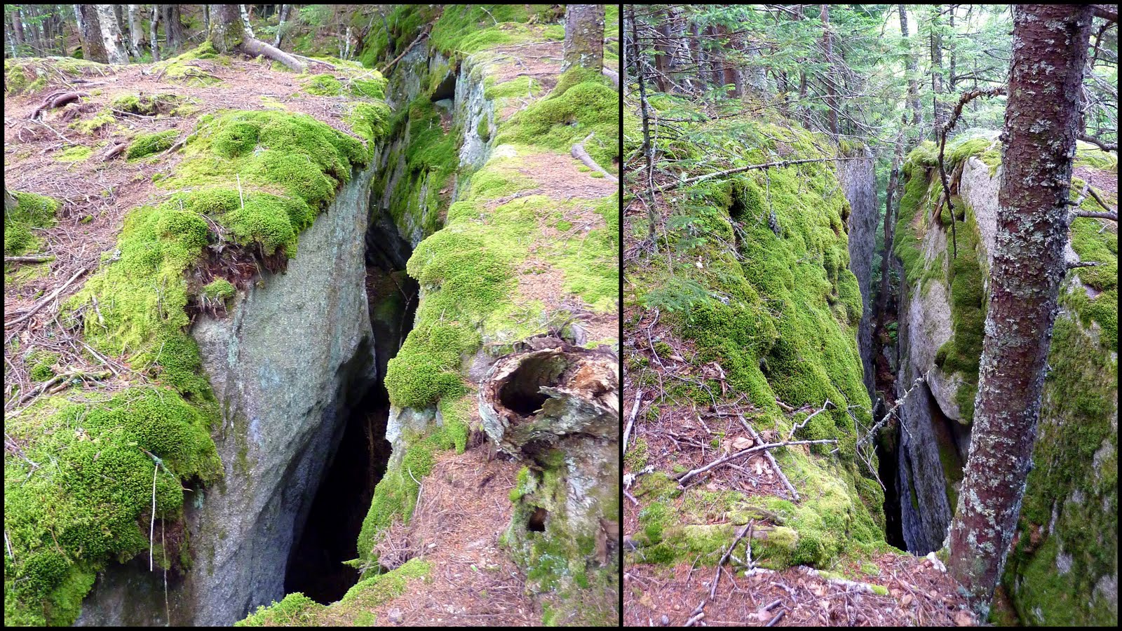 1HappyHiker: Follow-Up Visit to Willoughby State Forest in Vermont