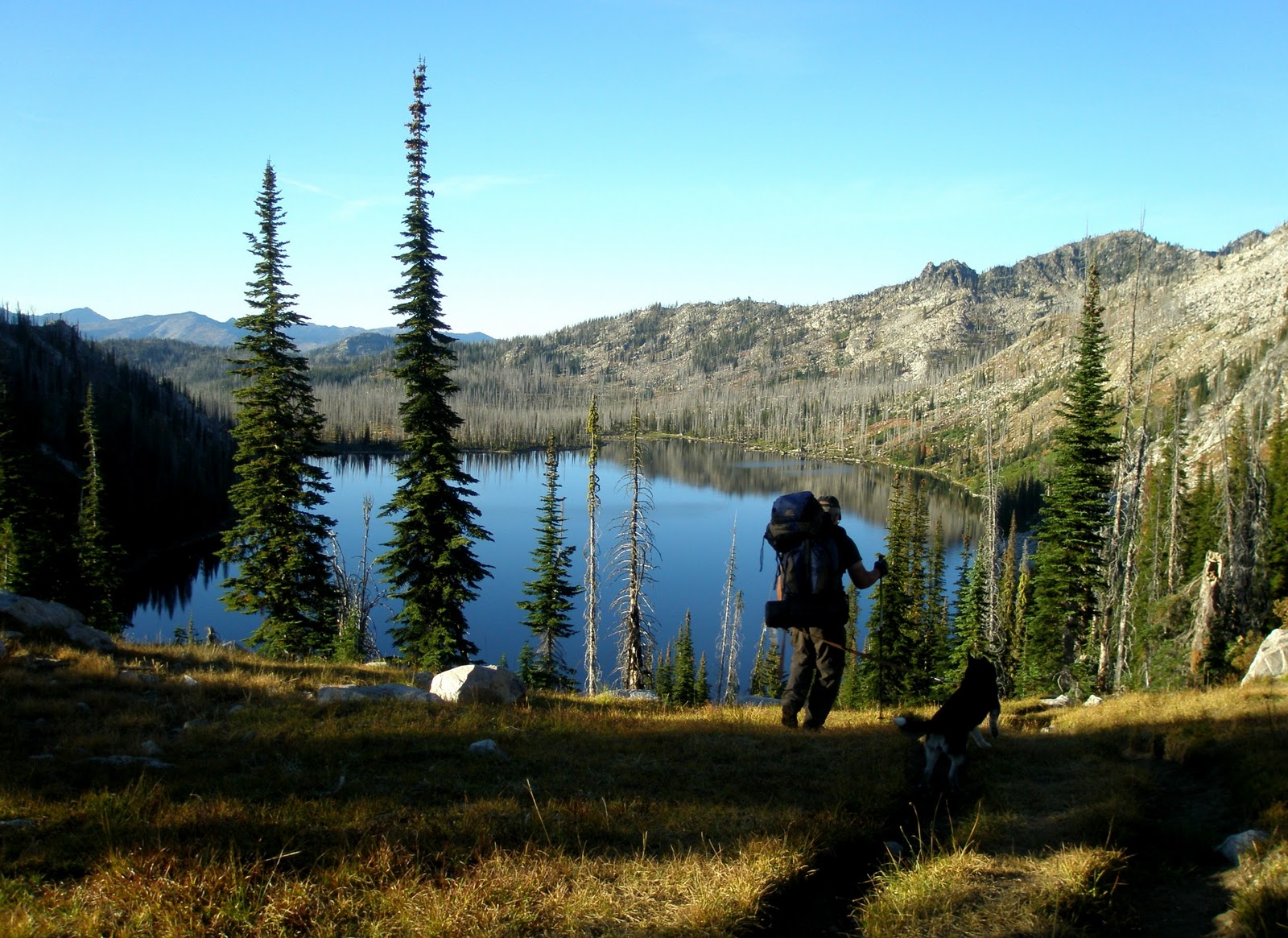 Fibromyalgia: Meet Your Match: Kale-topped sweet potato