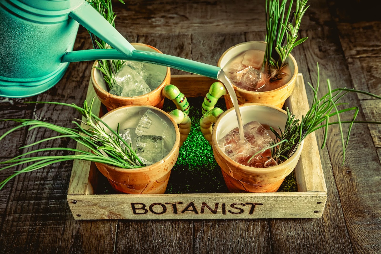 NEWS : The Botanist - Delicious PR Agency Birmingham