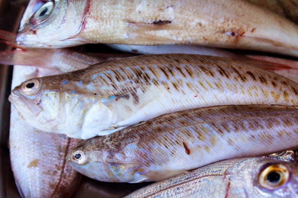 YOLANDA PINCHOLOS COOKING: Es tiempo de "raons"