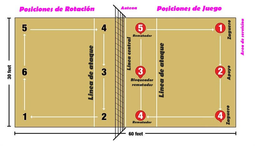 Consejos y tips de salud