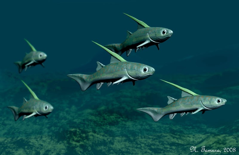 Life Before the Dinosaurs: Parexus.