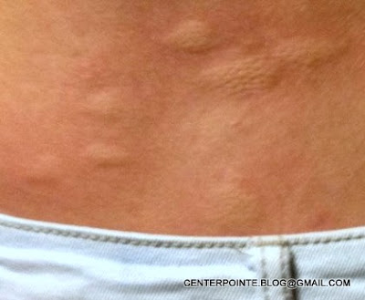 Centerpointe Communicator: The worst in 15+ years