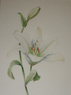 Lynn Norton: Watercolour