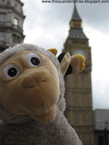 The Quandong Tree: Wiley!