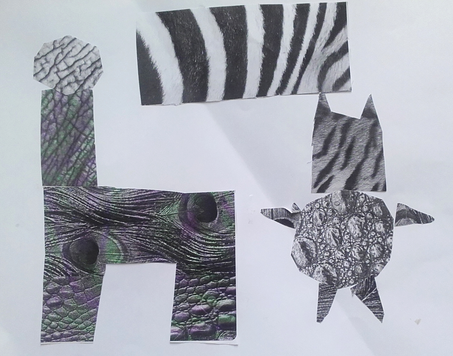 Sintonía Desplegable: TEXTURAS DE ANIMALES