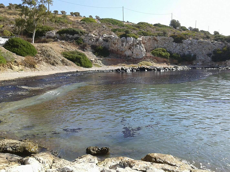 SALAMIS-NEWS: Η οικολογική καταστροφή του Σαρωνικού και ιδιαίτερα τα ...