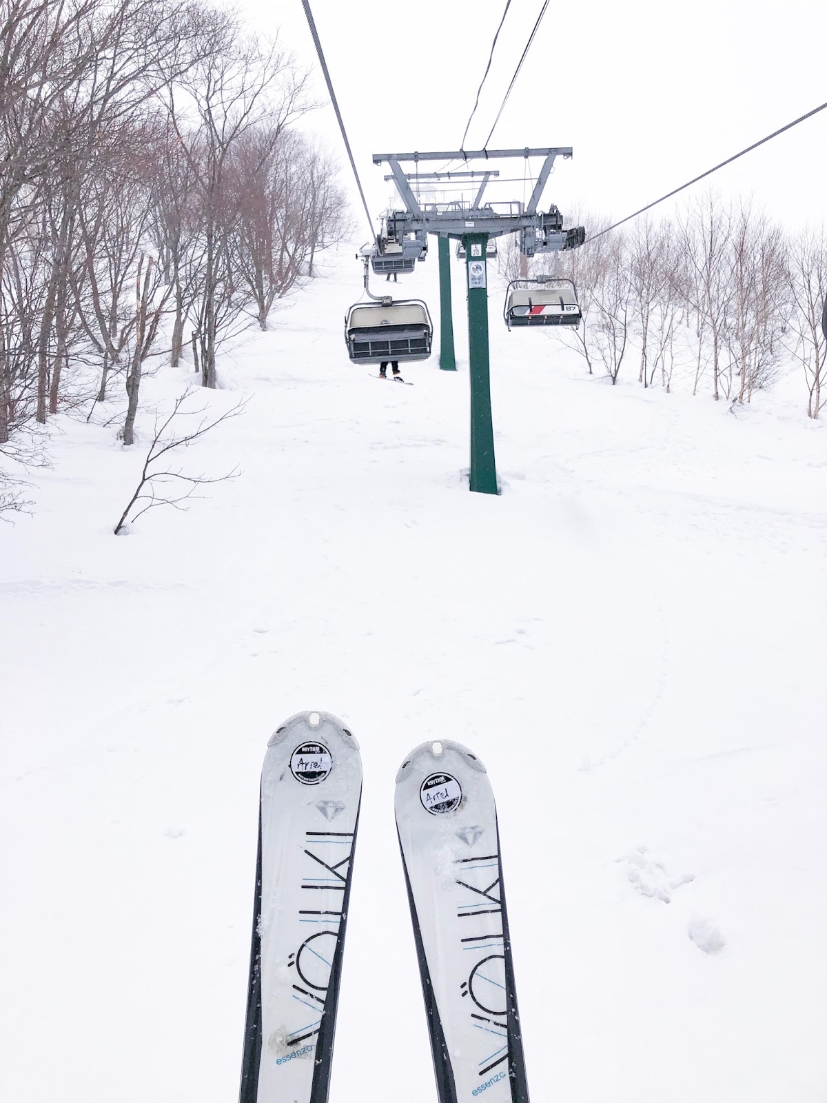 Niseko | The Ultimate Guide for Your First Time Skiing | Ariel Land