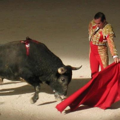 The color Red doesn't actually make bulls angry - Stunning Interesting ...