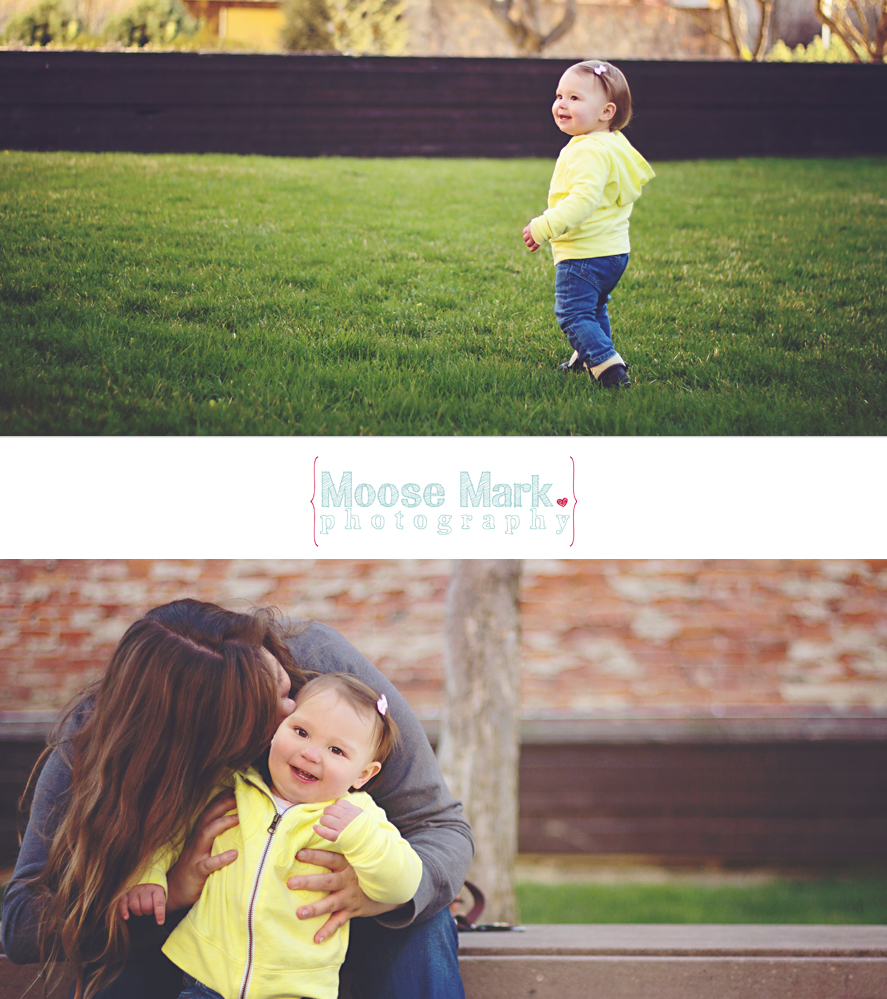 Moose Mark Photography