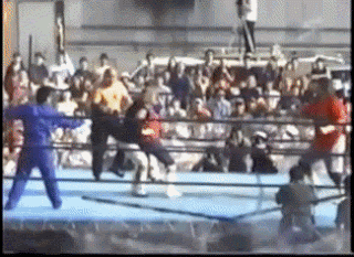 ProWresBlog: Big Japan Pro Wrestling 6/3/2001 - Fire Match - Shadow WX ...