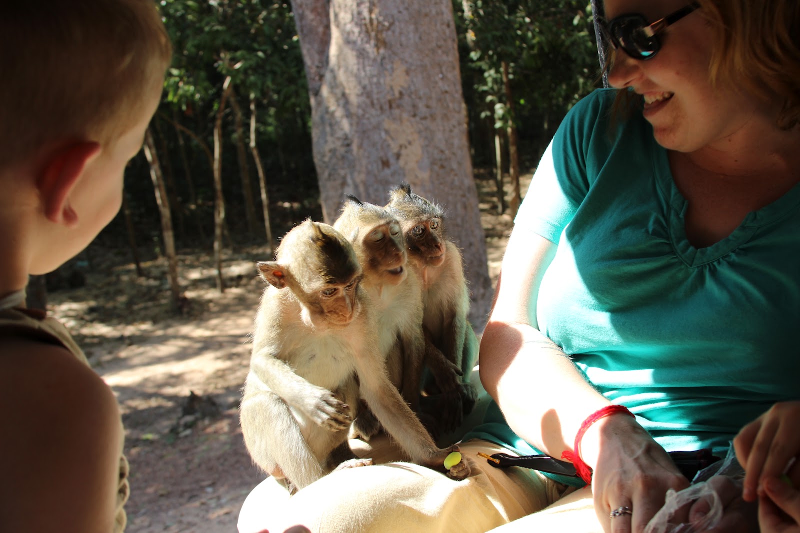 I'm Sorry for Cursing - Colon / rectal cancer: It's a Monkey Kind of Day!