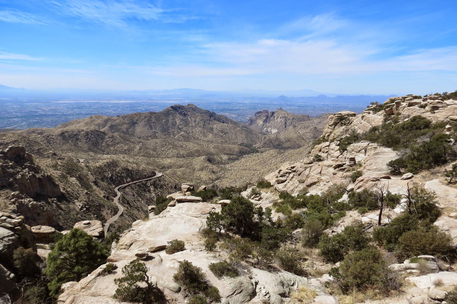 Where's Liz? 2014: Sky Island Scenic Byway, Mt. Lemmon, Tucson, AZ