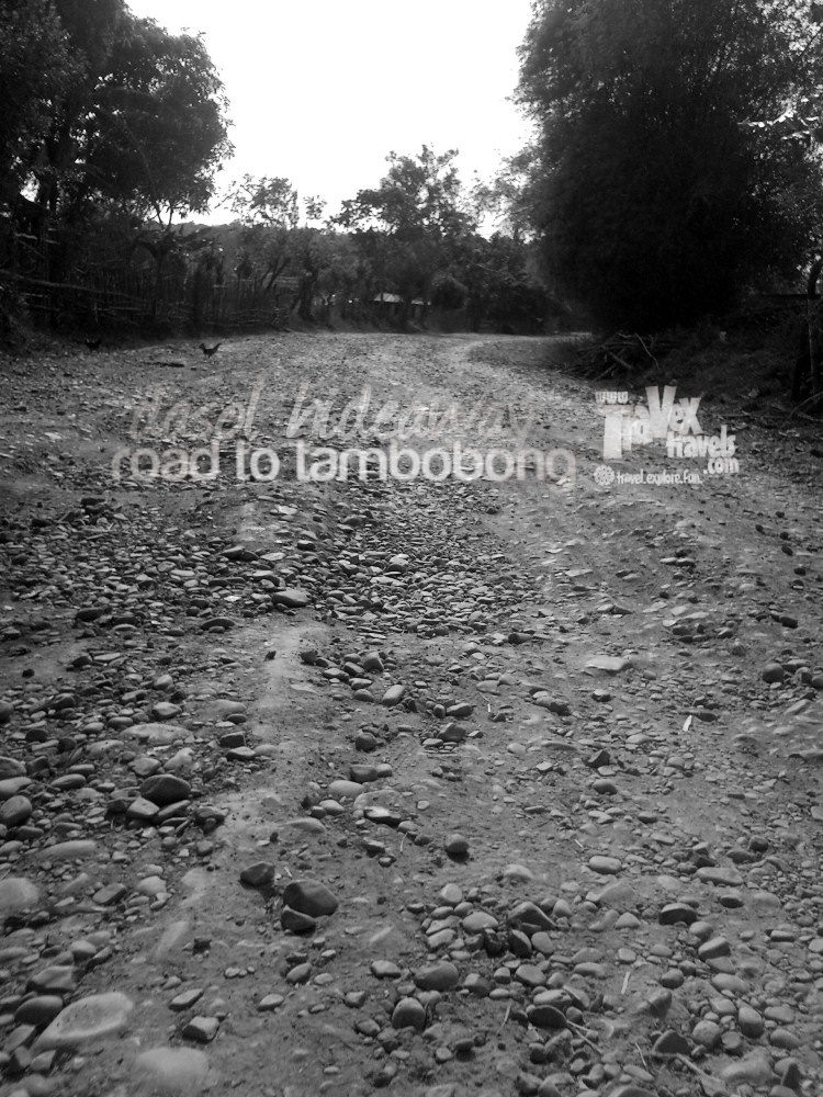 Rough Road to Tambobong Beach | Photos - Travex Travels - Travel ...
