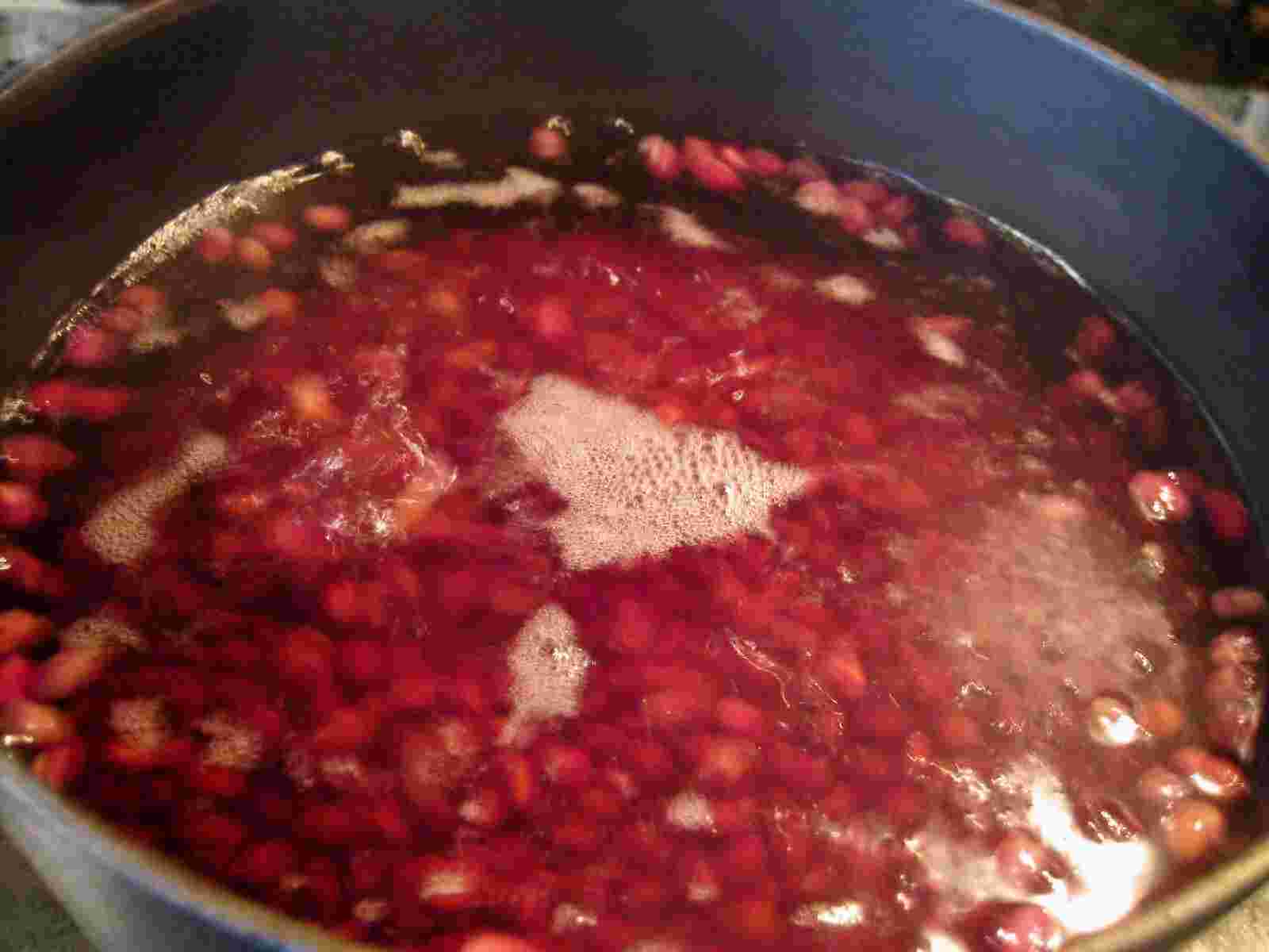 Recipes for Tom: Tsubuan / sweetened crumbly azuki bean paste