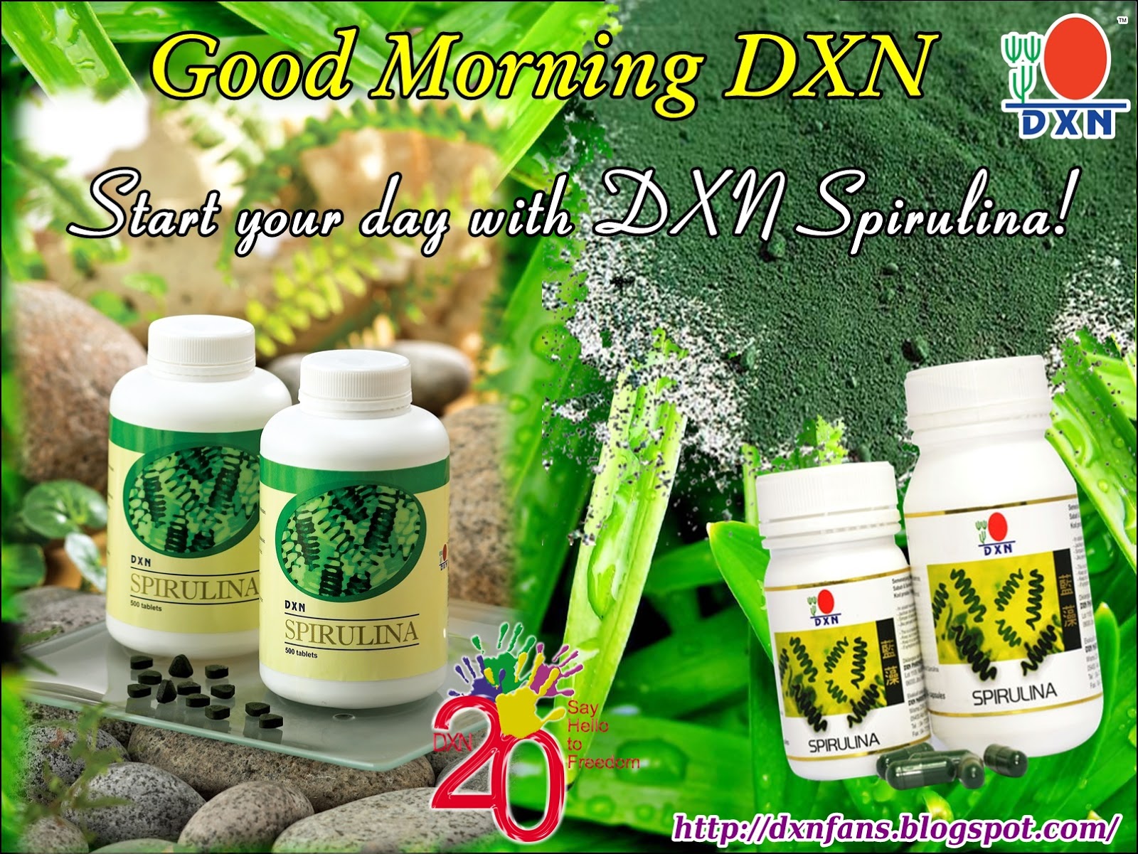 Welcome to the DXN Fans Blog
